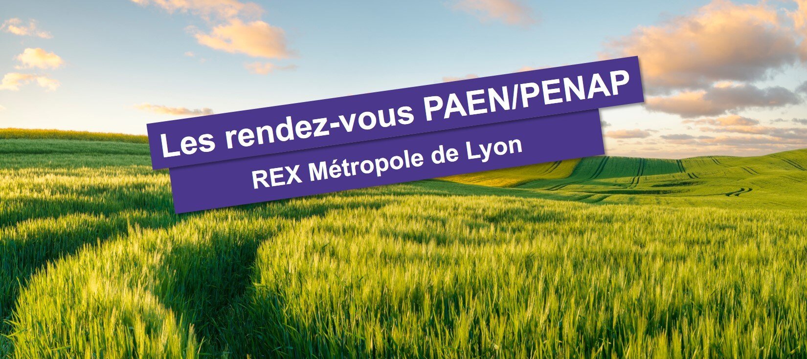 Formations - idealCO | idealCO